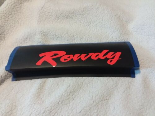 Kyle Busch rowdy name rail nascar race used sheetmetal rare dont miss ...
