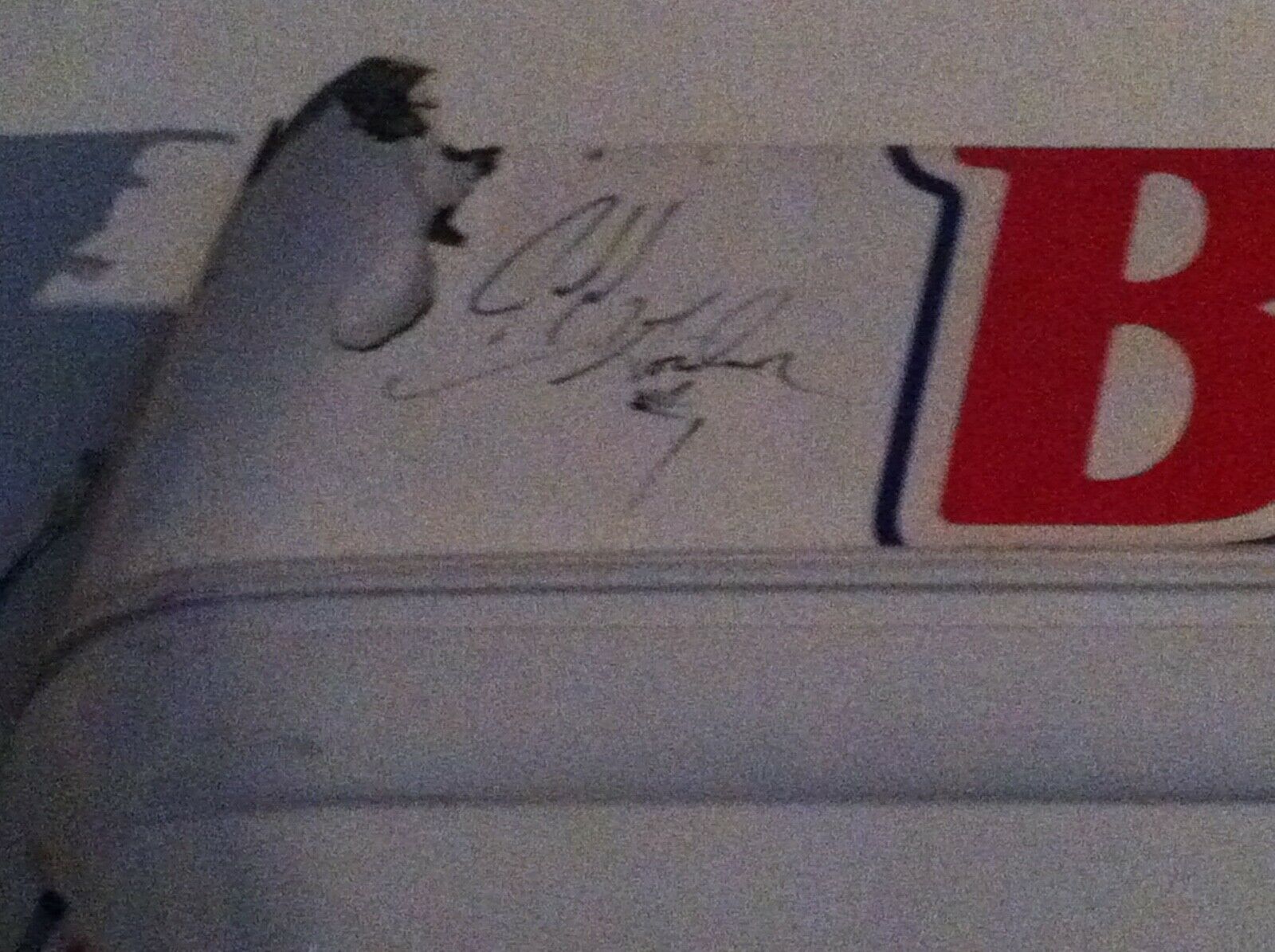 Jeff Gordon Baby Ruth Sheet Metal Auto - Race Used 360